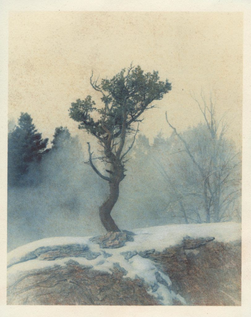 The Process for Conjuring Color | BACKWOODS AND BEYOND: Exploring the ...